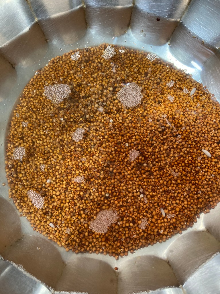 How to make nutritious Nachani Satva|Finger Millet pudding at home ...